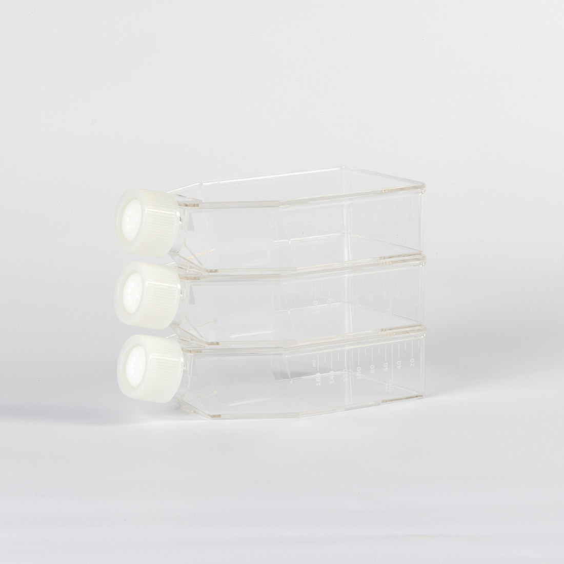 Cell Culture Flasks, 75 cm²